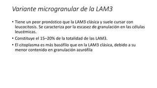 Clasificación pab (franco américo - británico) | PPTX