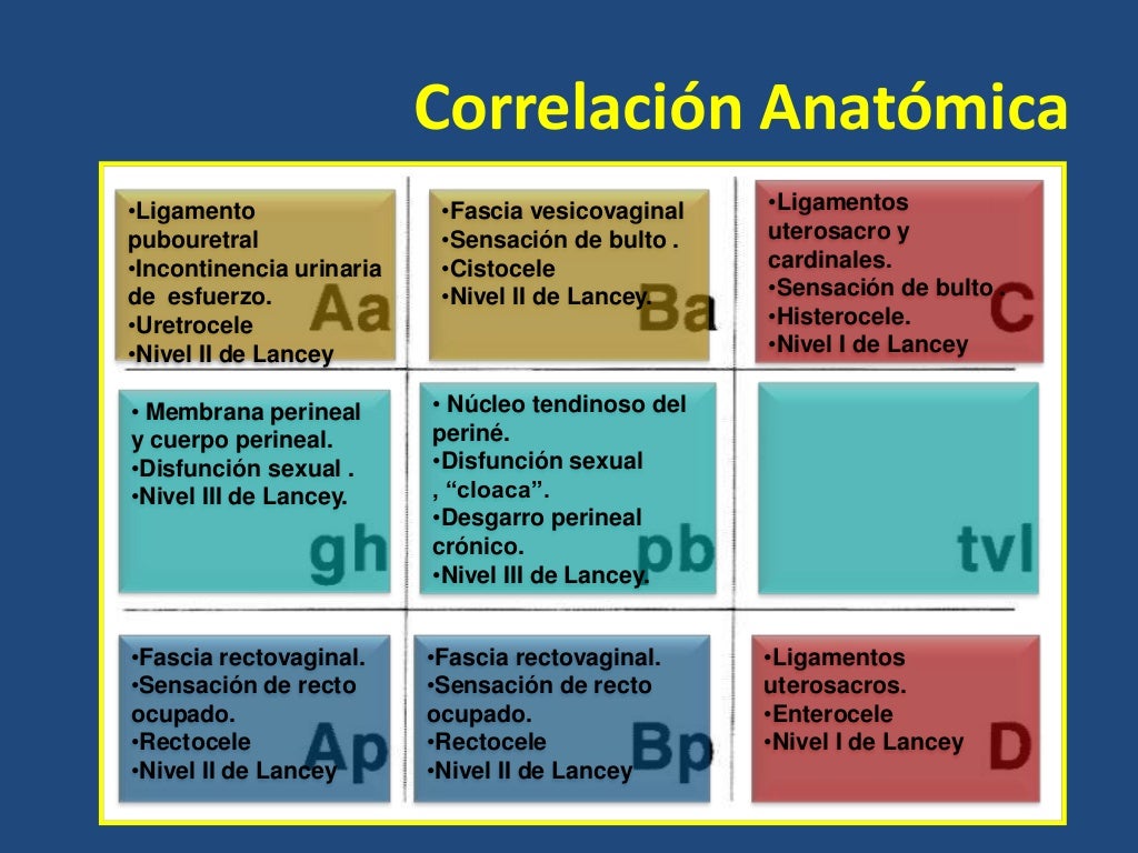 Clasificación pop – q