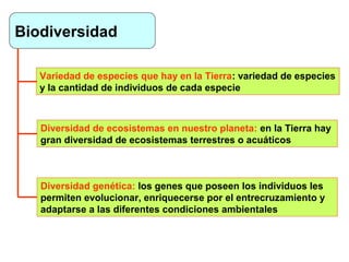 Clasificación seres vivos | PPT