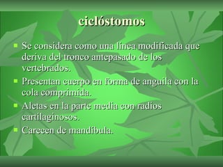 Gran Clasificación taxonómica de los vertebrados | PPT