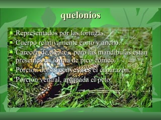 Clasificación taxonómica de los vertebrados | PPT