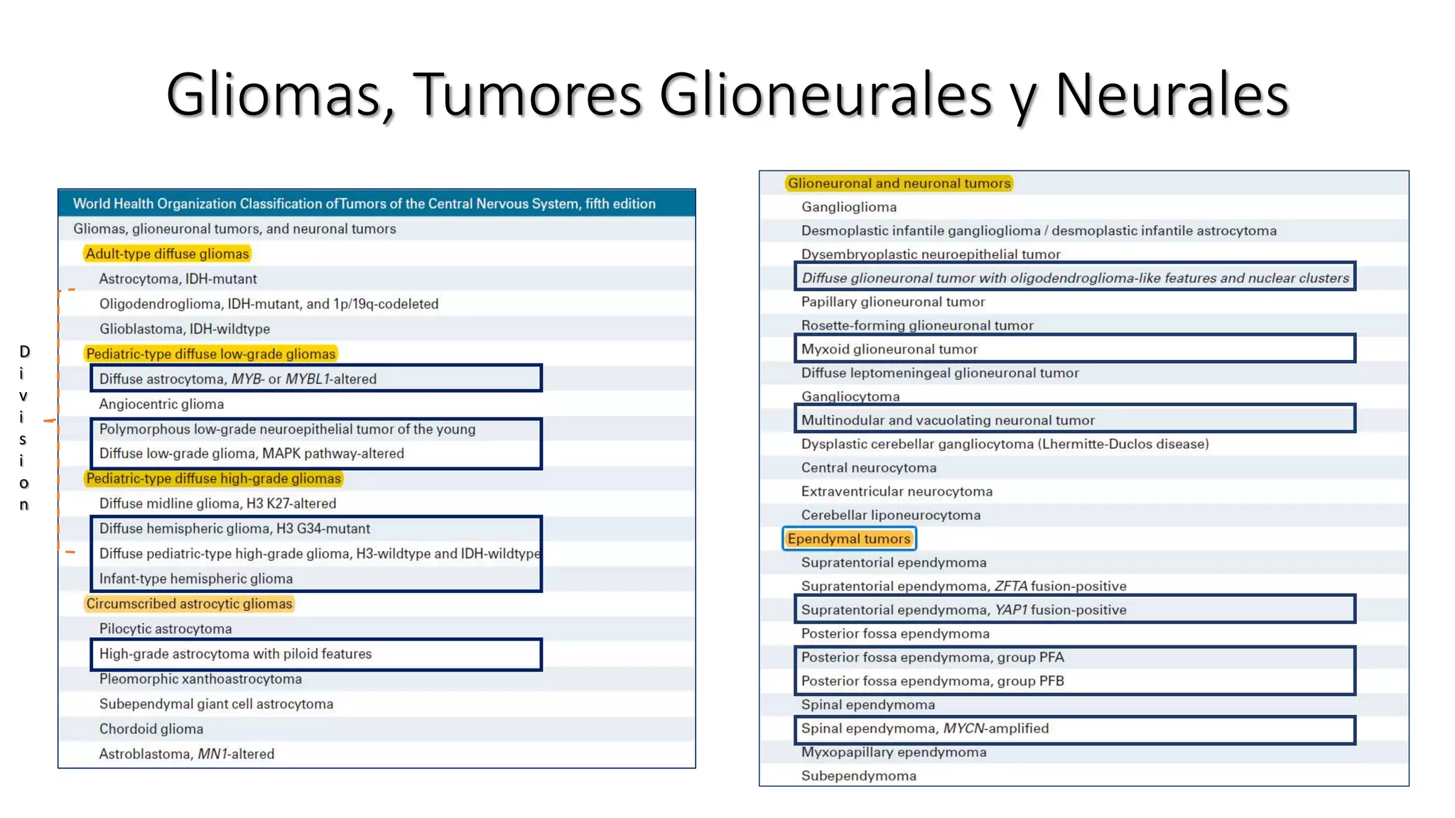 Clasificación Tumores SNC – OMS 2021.pptx