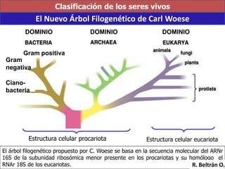 Clasificación de Carl Woese (1990) | PPT
