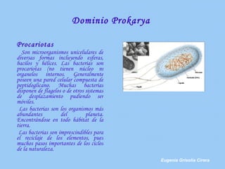 Clasificacion | PPS