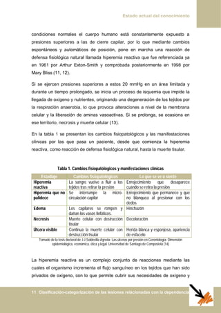 clasificacion-categorizacion-de-las-lesiones-relacionadas-con-la ...