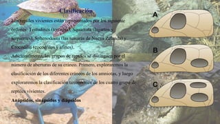 Clasificacion de-los-reptiles | PPTX