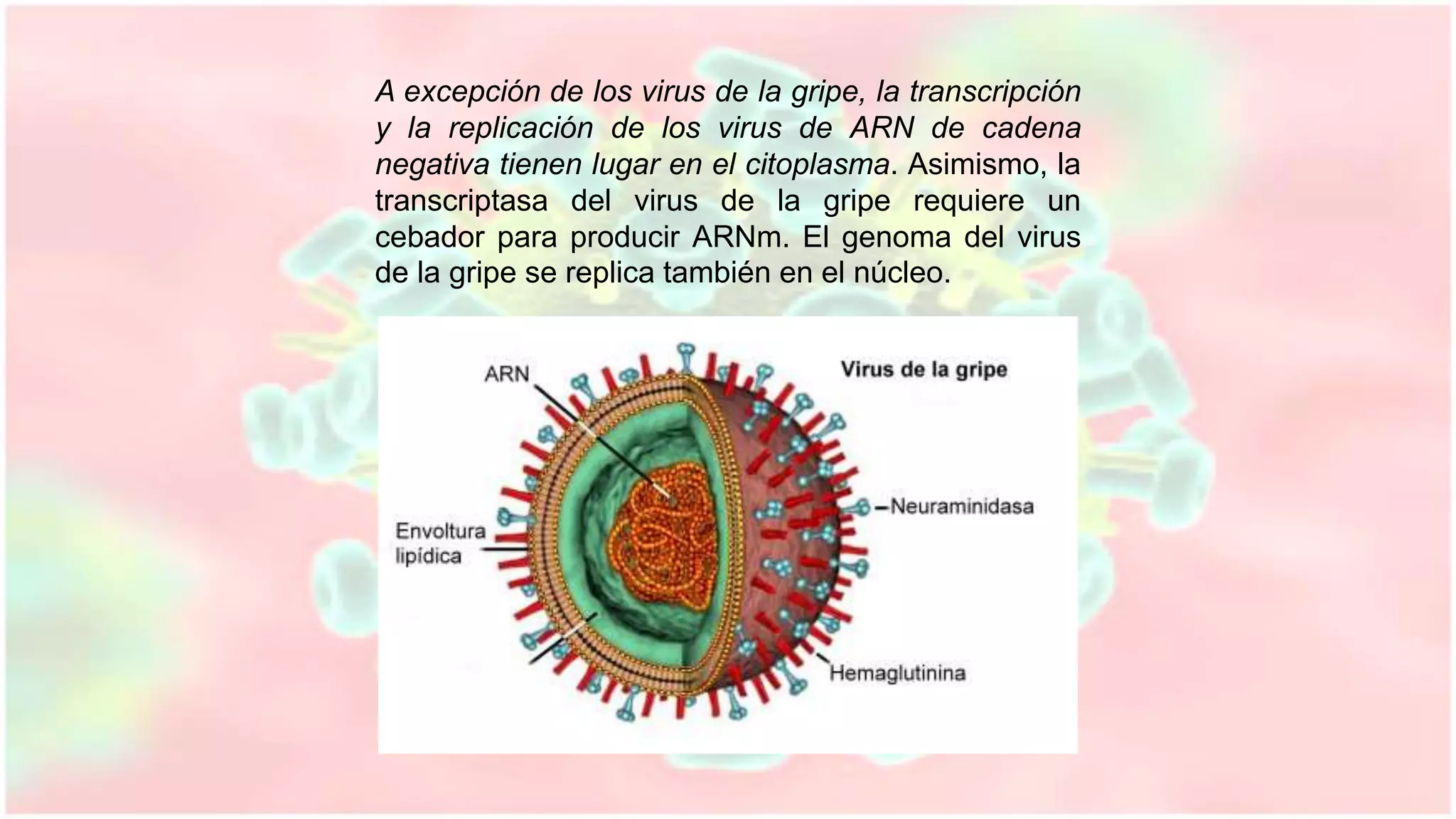 Clasificaciòn estructura y replicaciòn vírica | PPTX