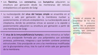 Clasificaciòn estructura y replicaciòn vírica | PPTX