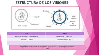 Clasificaciòn estructura y replicaciòn vírica | PPTX