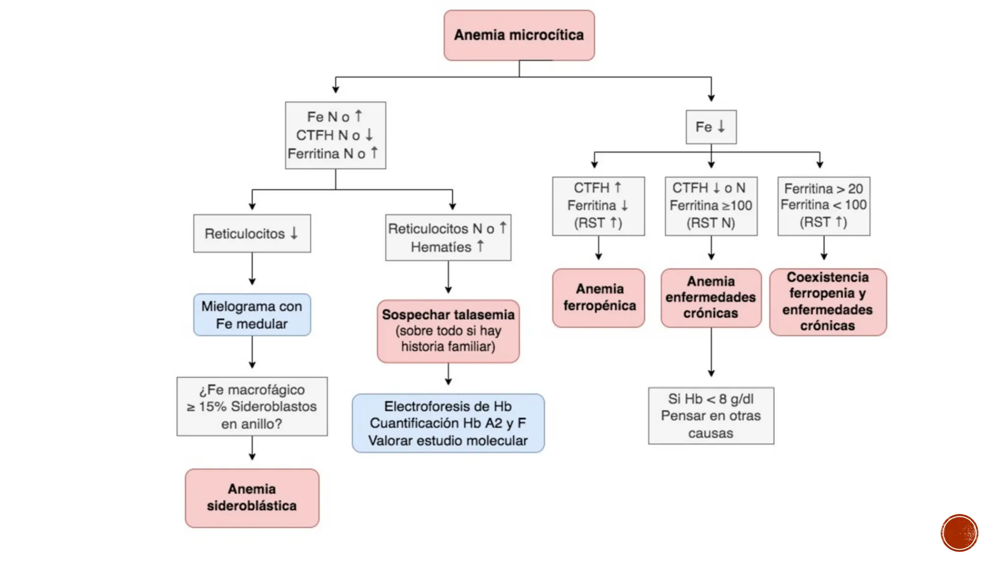 CLASIFICACION DE ANEMIAS TORRES PAOLA.pptx