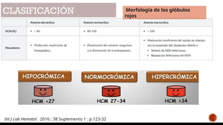 CLASIFICACION DE ANEMIAS TORRES PAOLA.pptx