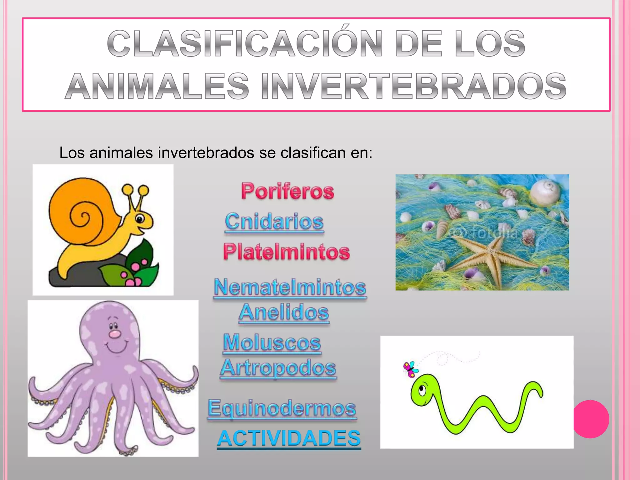 Clasificacion de animales invertebrados | PPTX