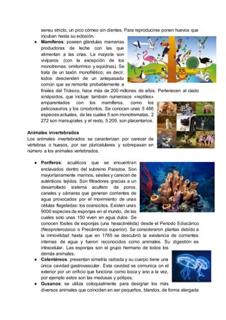 Clasificacion de especies monografia | DOCX