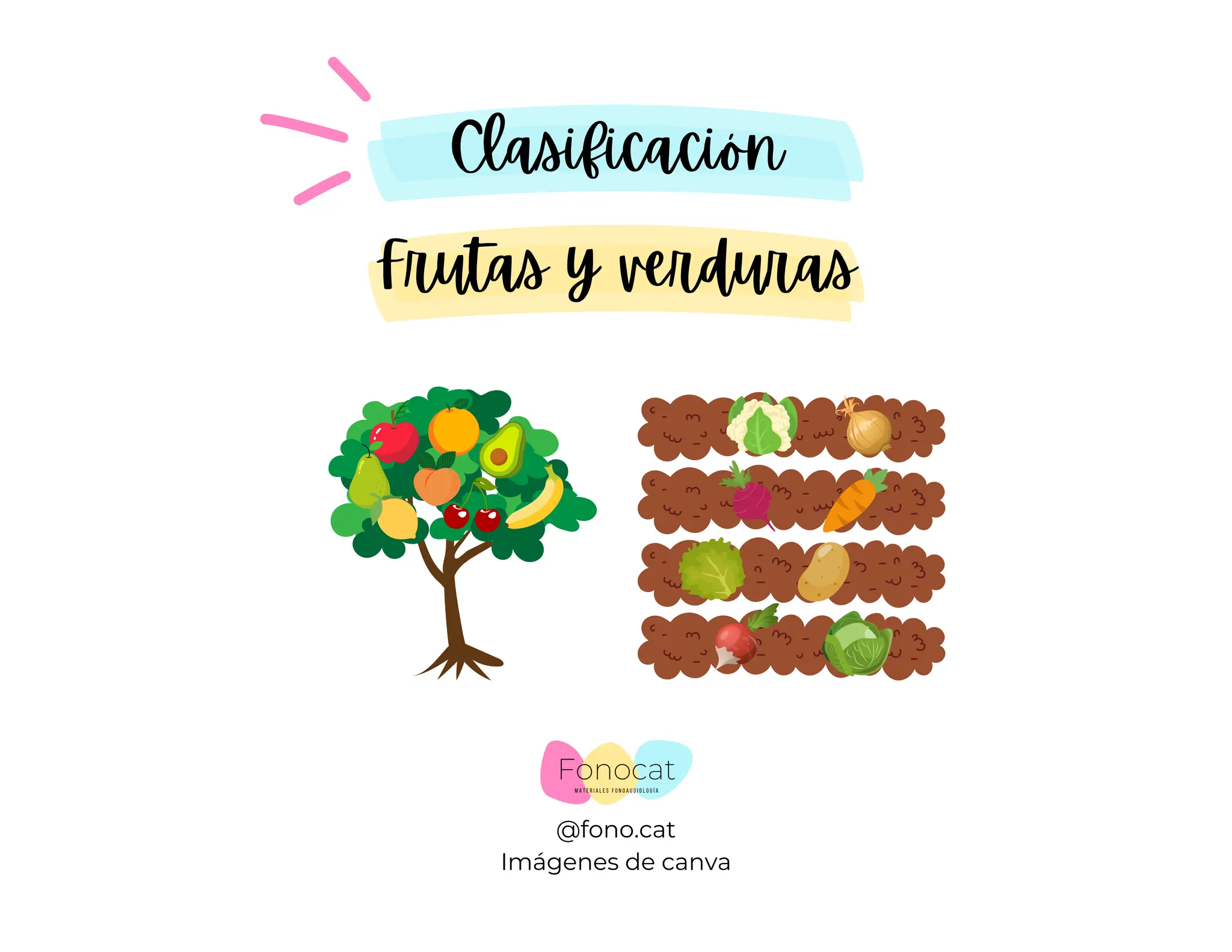 Clasificación De Frutas Y Verduras