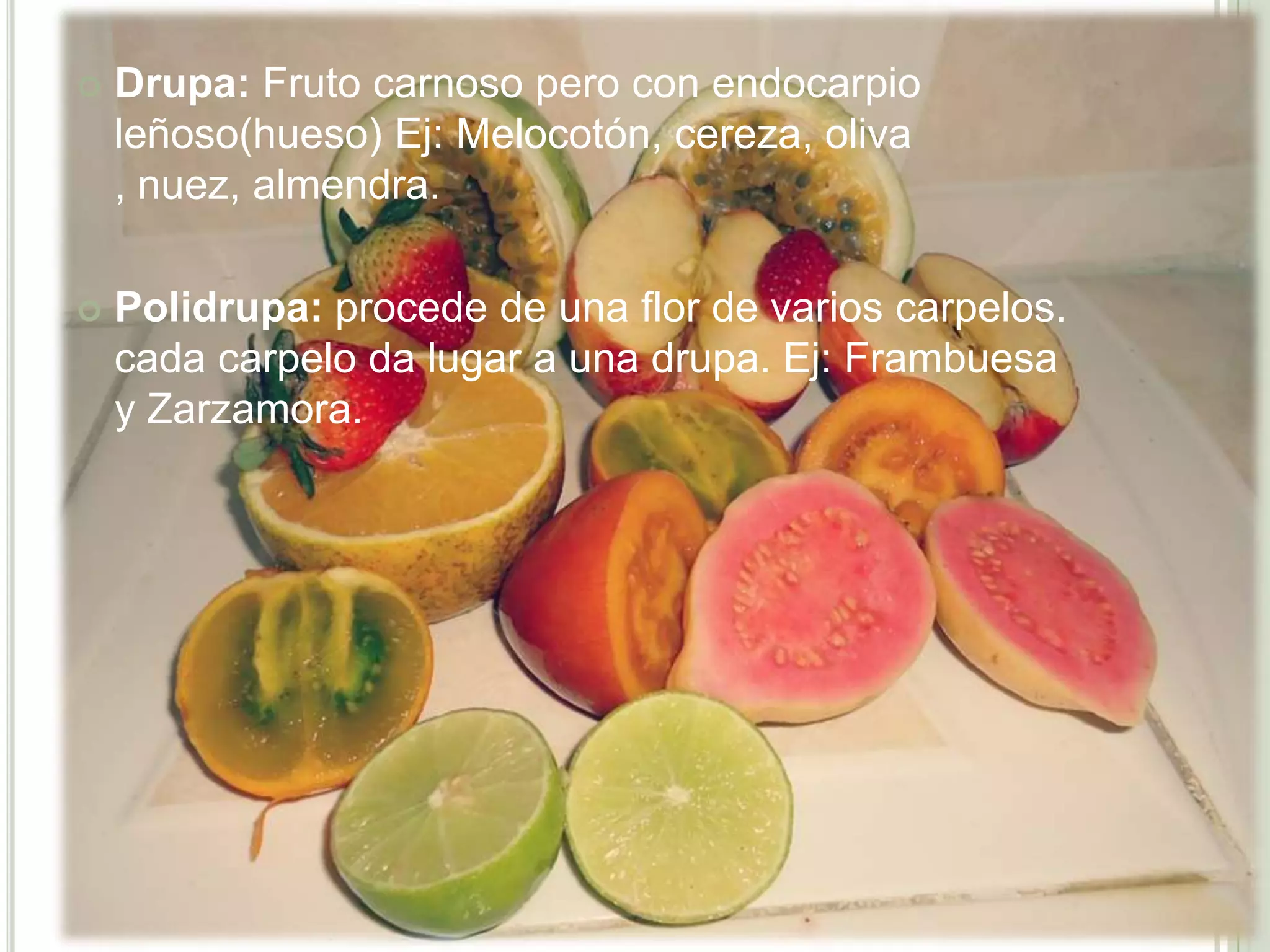 Clasificación de algunos frutos | PPTX