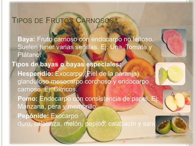 Clasificación de algunos frutos | PPTX