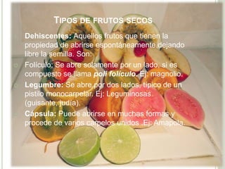 Clasificación de algunos frutos | PPTX