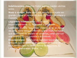 Clasificación de algunos frutos | PPTX
