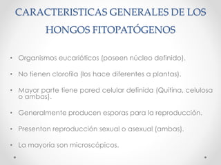 Estructuras de reproducción sexual y asexual de hongos fitopatógenos | PPTX