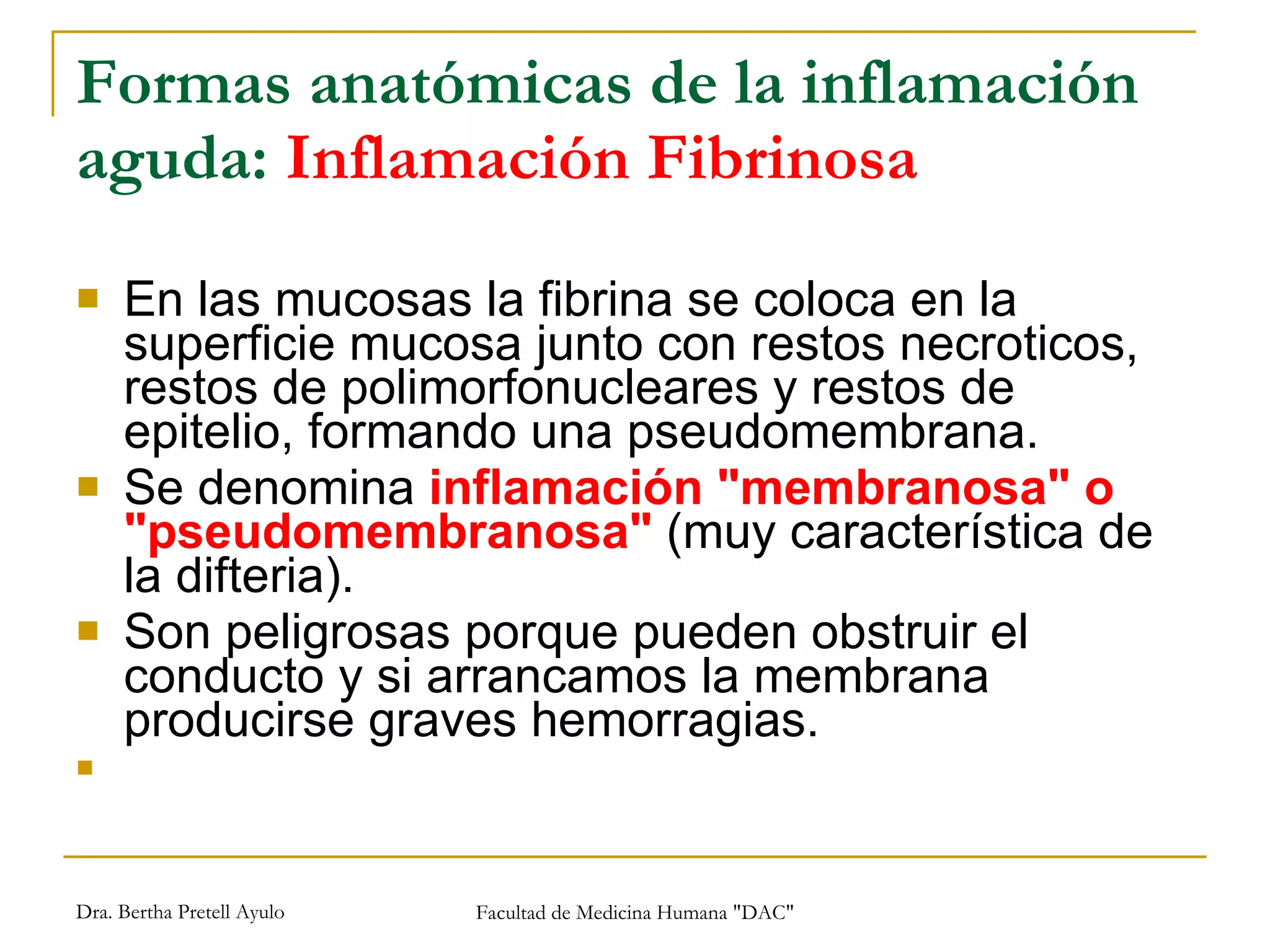 Clasificacion de la_inflamacion | PPT