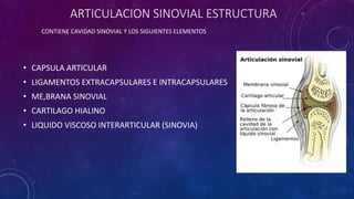 Clasificacion de las articulaciones por diego narvaez | PPTX