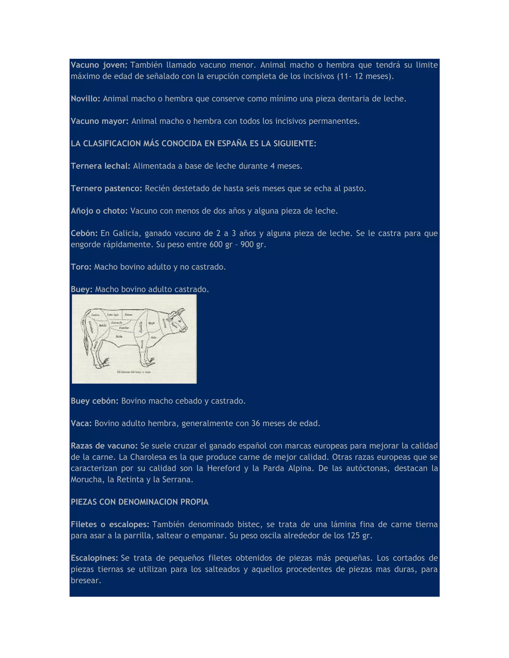 Clasificacion del ganado bovino | DOCX