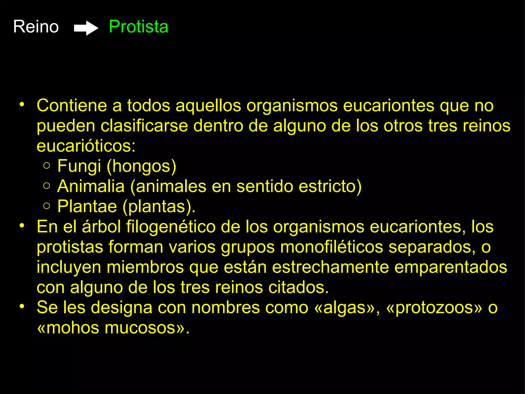 Clasificacion De Los Animales | PPT