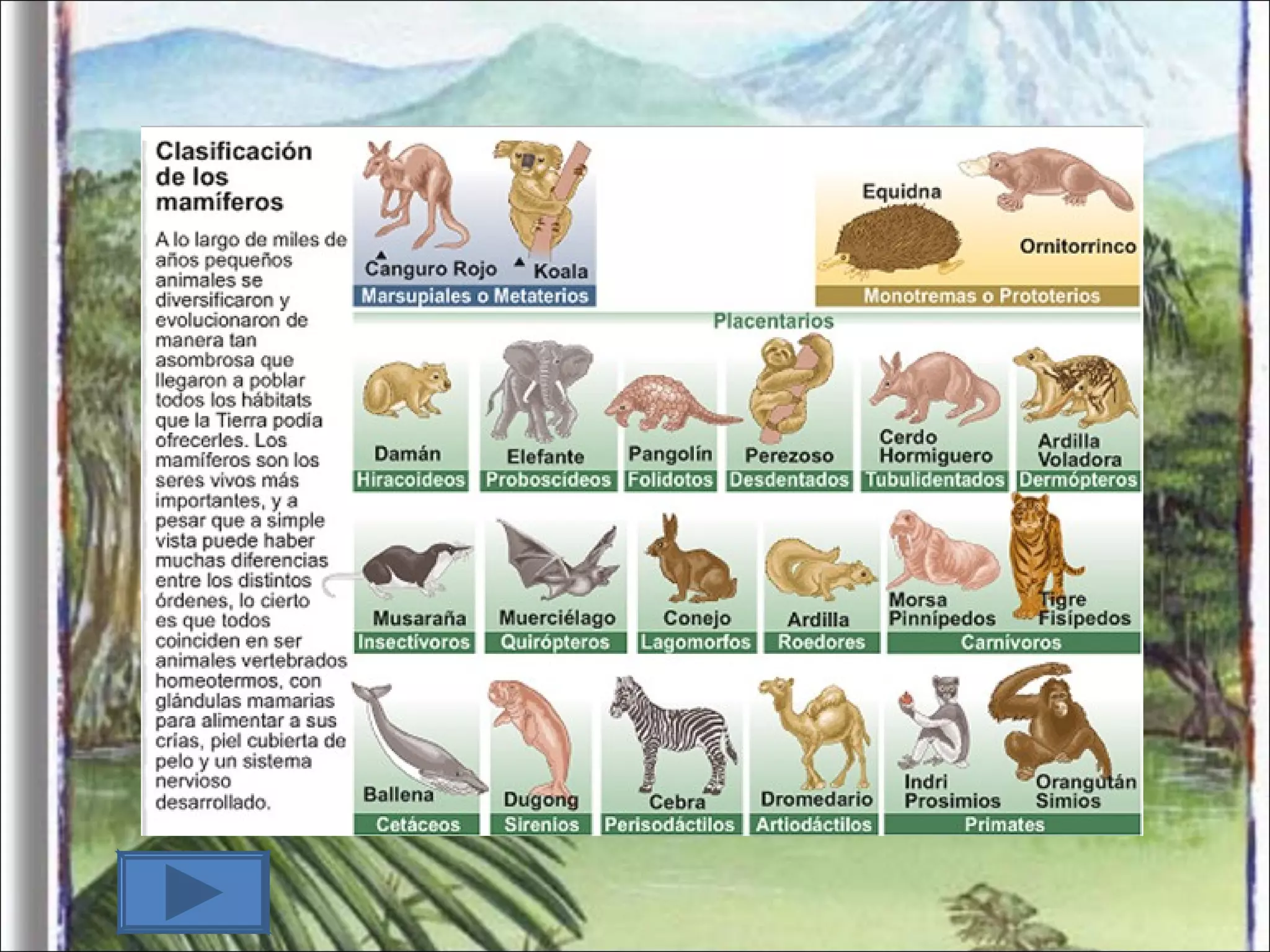 Clasificacion de los animales | PPT | Descarga Gratuita