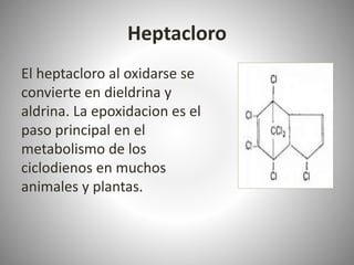 Clasificacion de los compuestos organoclorados | PPTX