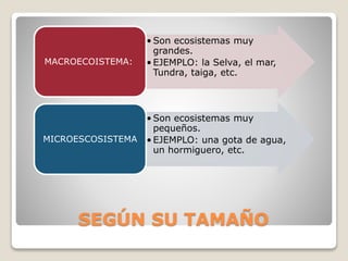 Clasificacion de los ecosistemas | PPTX
