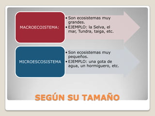 CLASIFICACIÓN DE LOS ECOSISTEMAS | PPTX