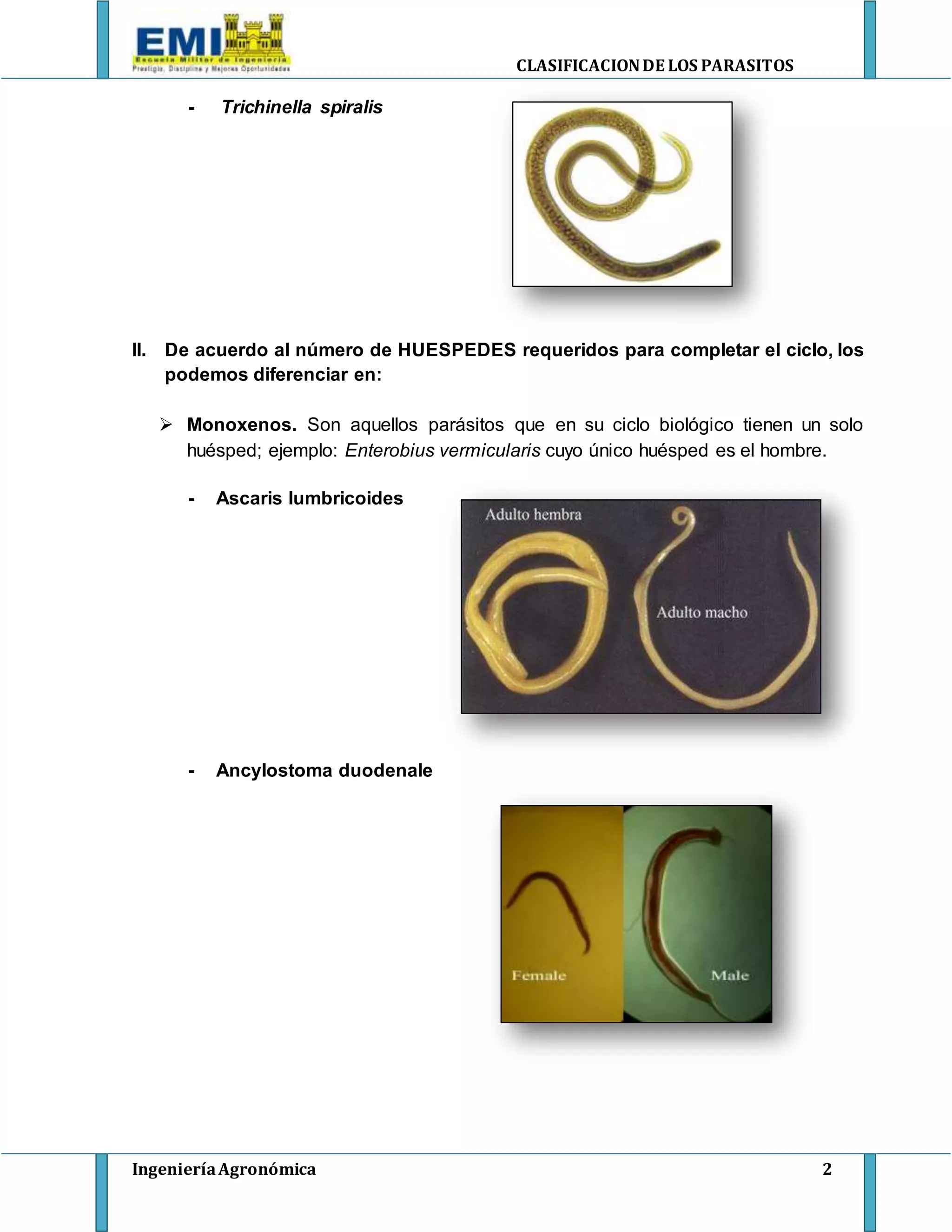 Clasificacion de los parasitos | DOCX