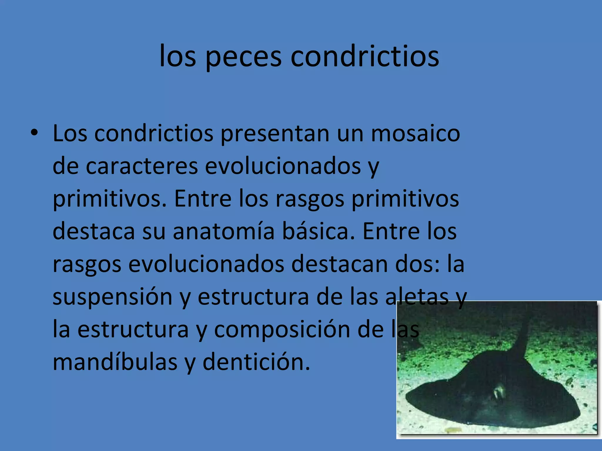 Clasificacion de los pescados