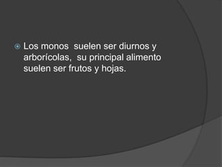 Clasificacion de los primates | PPTX