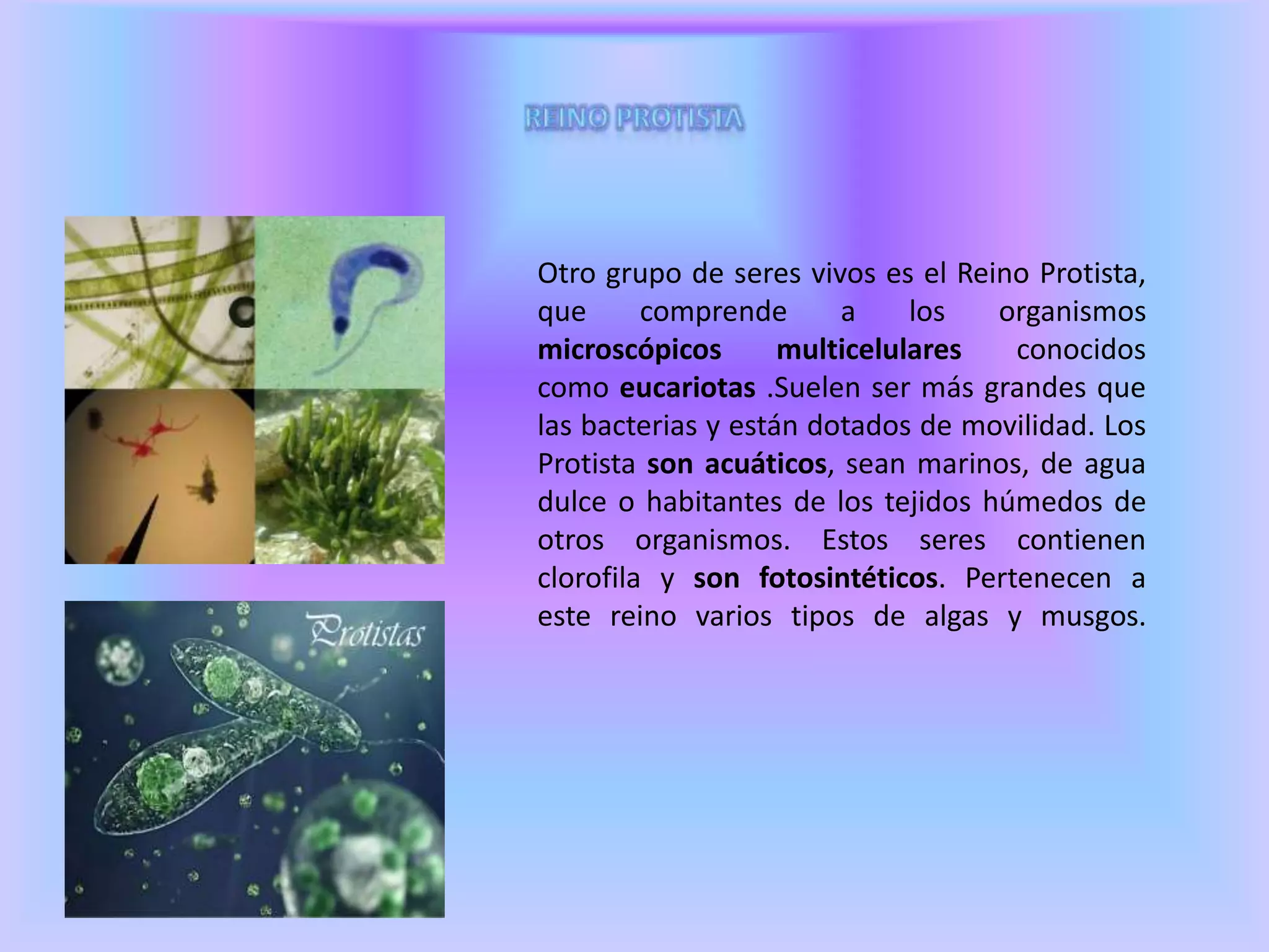 Clasificacion de los reinos. | PPTX | Biological Sciences | Science
