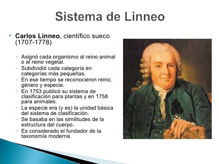 trabajo de TAXONOMIA 902