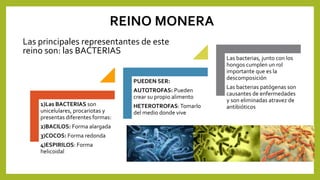 CLASIFICACION DE 5 REINOS: reino animal, vegetal, hongos, bacterias.pptx