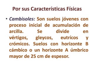 Clasificacion de suelos | PPTX