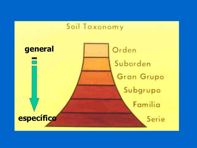 Clasificacion De Suelos Taxonomia De Suelos | Porn Sex Picture Clasificacion De Suelos Taxonomia De Suelos | Porn Sex Picture