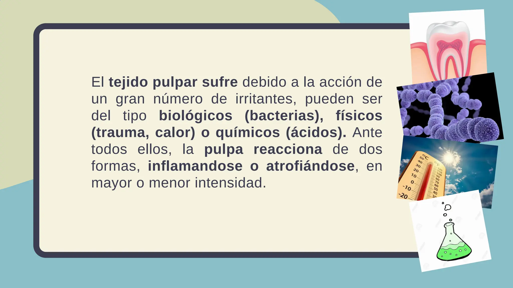 Clasificación e Interpretación de Lesiones Pulpares | PDF | Dental ...
