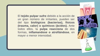 Clasificación e Interpretación de Lesiones Pulpares | PDF