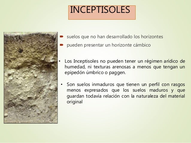 Clasificaciones taxonómicas-americana-de-los-suelos