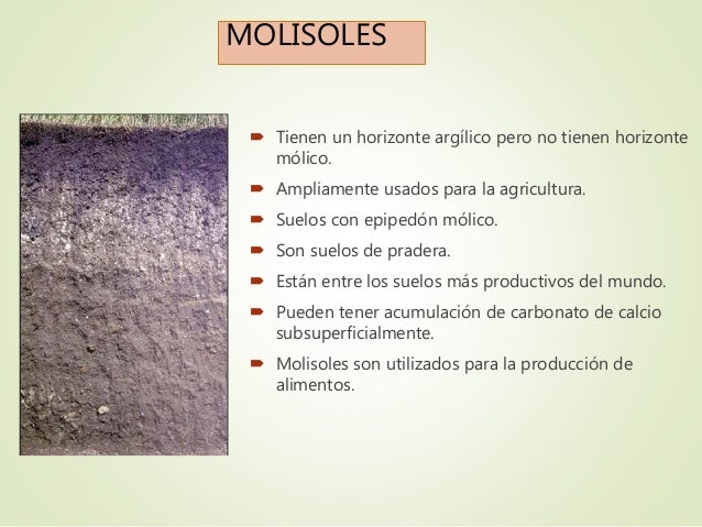 Clasificaciones taxonómicas-americana-de-los-suelos