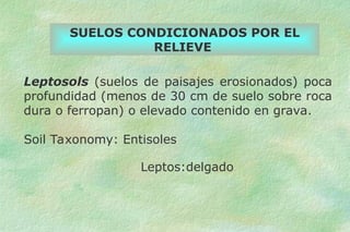 clasificación de los suelos realizada por FAO | PPT