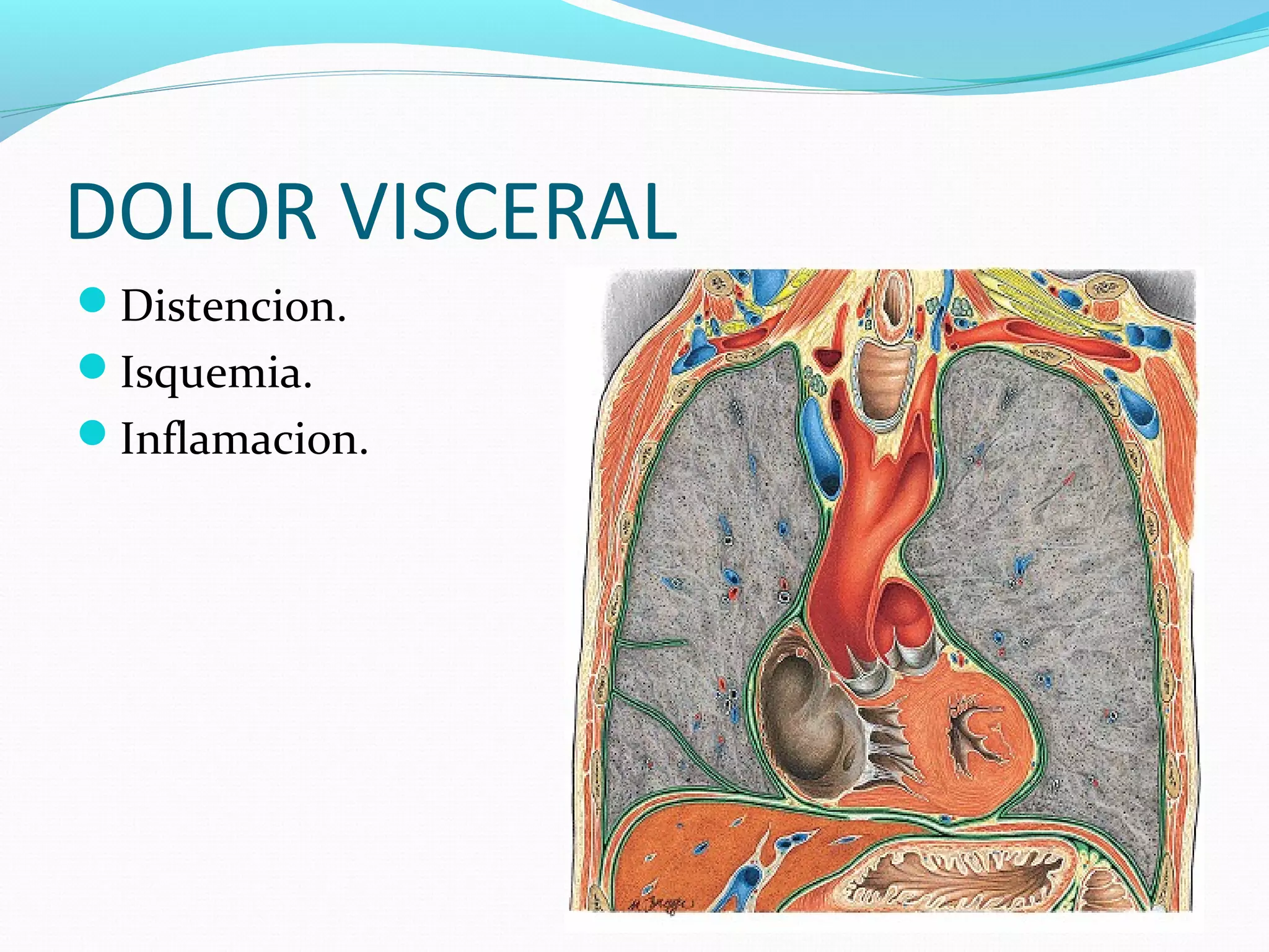 Clasificacion Fisiopatologica del Dolor. | PPT