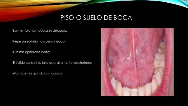 Clasificacion histotopografica y funcional de la mucosa