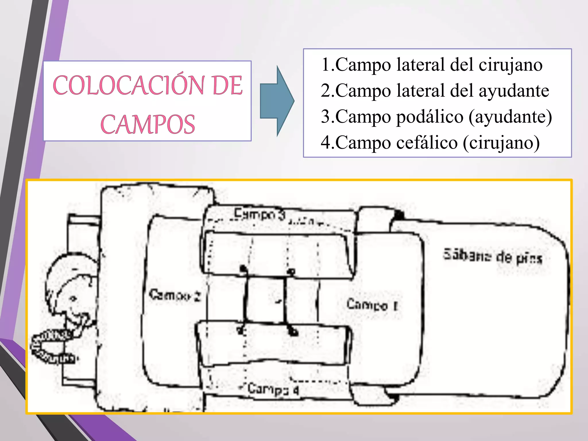 Clasificacion instrumental general y especifico. preparacion del campo ...