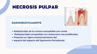 Clasificacion pulpar y periapical.pdf