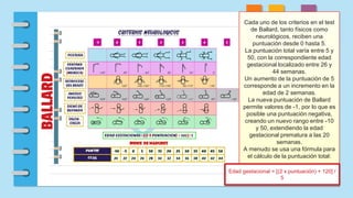 CLASIFICACION DEL RECIEN NACIDO EN NEONATOLOGIA | PDF