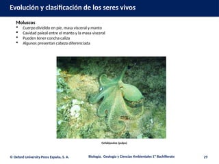 clasificación seres vivos MODIFICADO.pptx